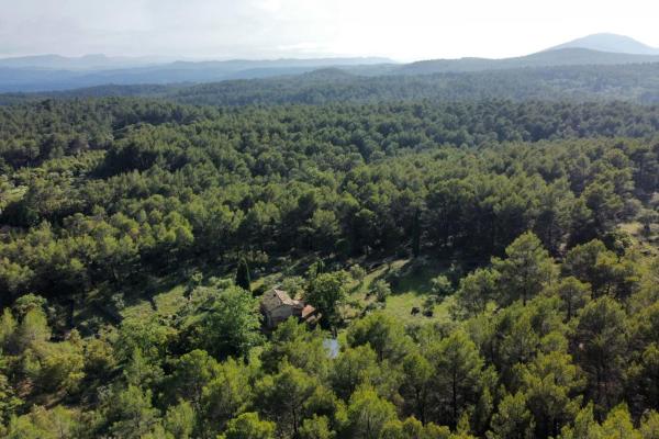 Bastidon Provençal Off-grid - Cotignac