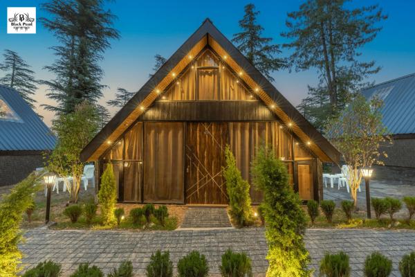 Blackpearl Cottage - Kufri - Kufri