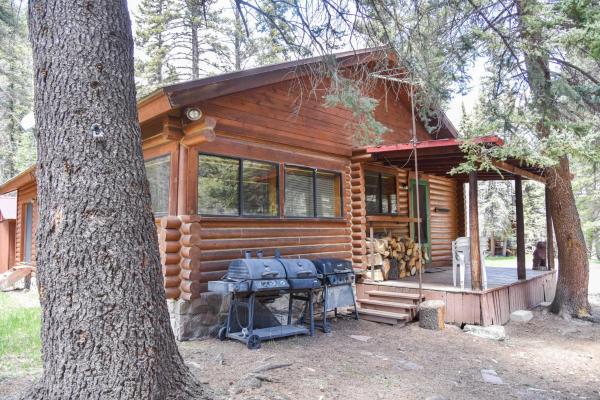 Bear Bait Cabin In Upper Valley With High Speed Wifi - Eagle Nest, NM