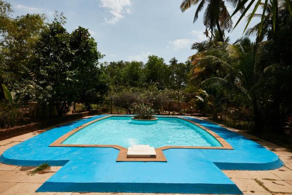 Jamboree Creek Yoga - Goa