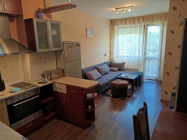 Преходно студио, дневна с кухня и стая - Sofia