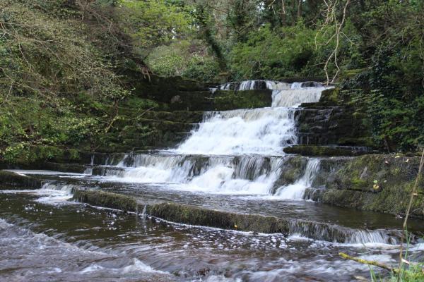 Dunneill River Rest - Mayo