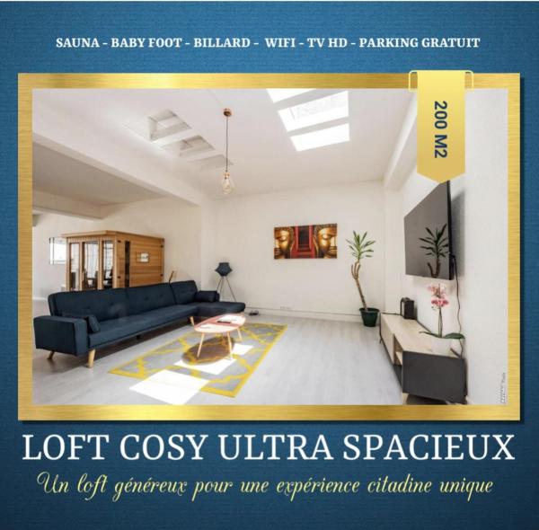 Loft Cosy - Hypercentre - Sauna - 200m2 - Wifi - Graulhet