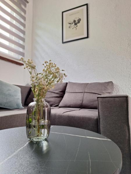 Bloom - Bosnia and Herzegovina