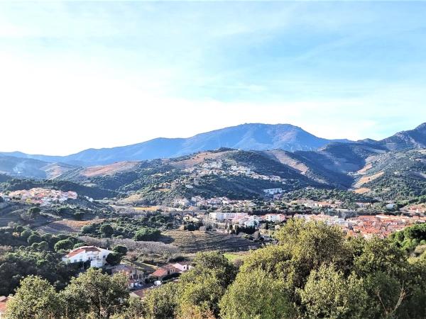 Appartement 3 Pièces Avec Terrasse Et Wifi à Banyuls-sur-mer - Fr-1-309-459 - Plage De Cerbère