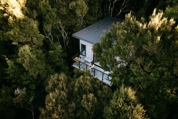 Treetop Tranquility At Rekindle Tree Houses - Paihia