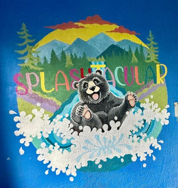 Splashtacular: Indoor Pool~gorgeous Views~hottub~gameroom~resort - 加特林堡