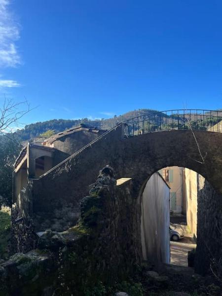 Maison Cévenole Typique Et Son Jardin Suspendu - Saint-Jean-du-Gard