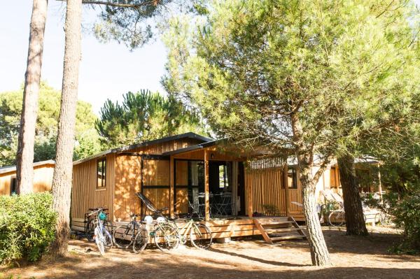 Huttopia Chardons Bleus Ile De Re -