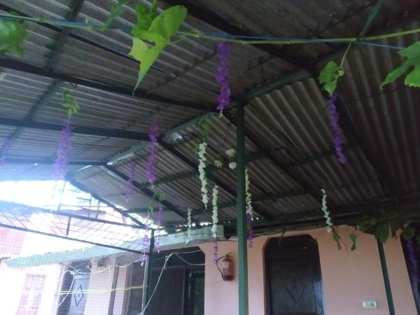 Neelkanth Homestay - Kausani