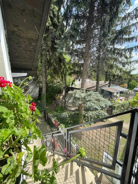 Jezero Apartment - Palić