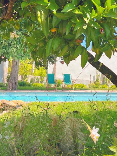 Casa Bizarra - Castanheira de Pêra