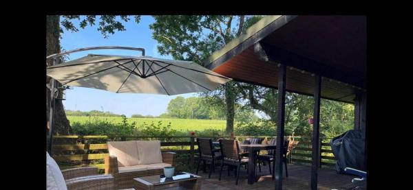 11 Tan-y-coed Woodland Lodge - Cardigan