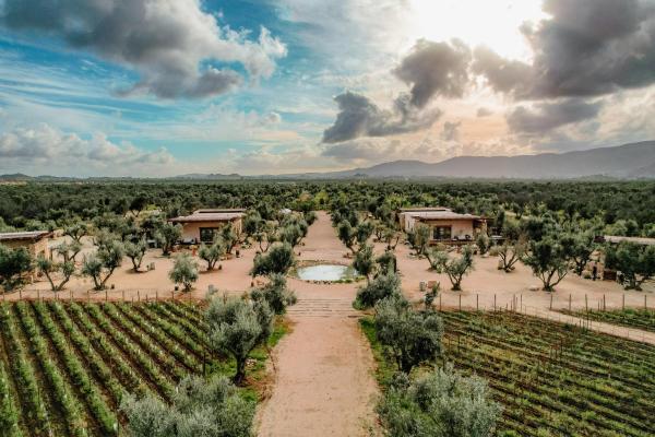 Hábimo - Valle De Guadalupe - Baja California