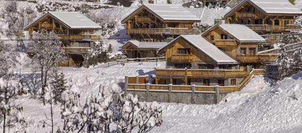 Impala Lodge - Chalet Somptueux - Moutiers