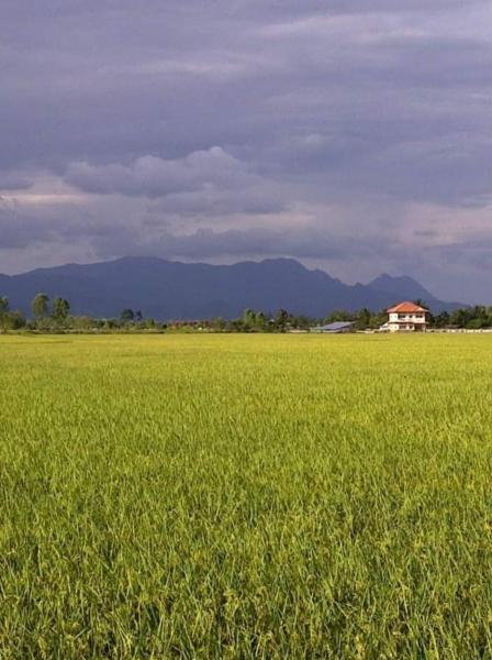 Princess's Palace B - Chiang Rai