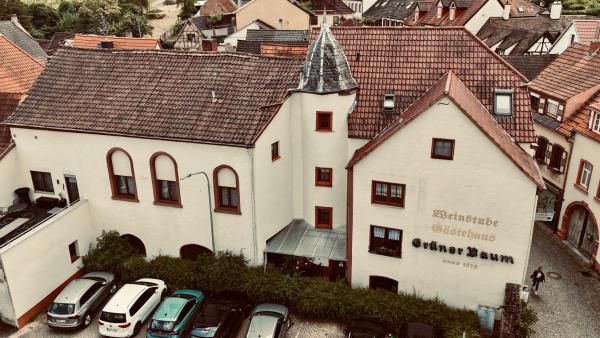 Gästehaus Grüner Baum - Landau