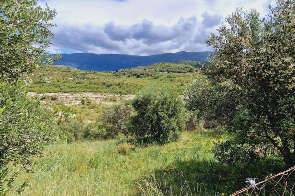 Elvis's Vacation House - Albanien