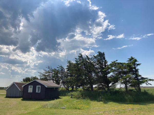 Løkken Naturcampingplads - Danemark