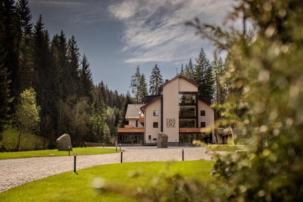 Das Erz Medical Spa & Hotel - Oberwiesenthal