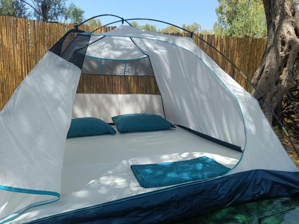 Borsh Olive Camping - Borsh
