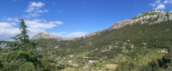 Hotel Sant'elene - Dorgali