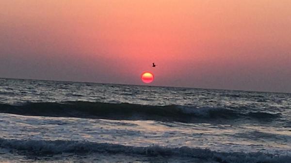 Lala's Sweet Nest By The Sea Side - Costinești