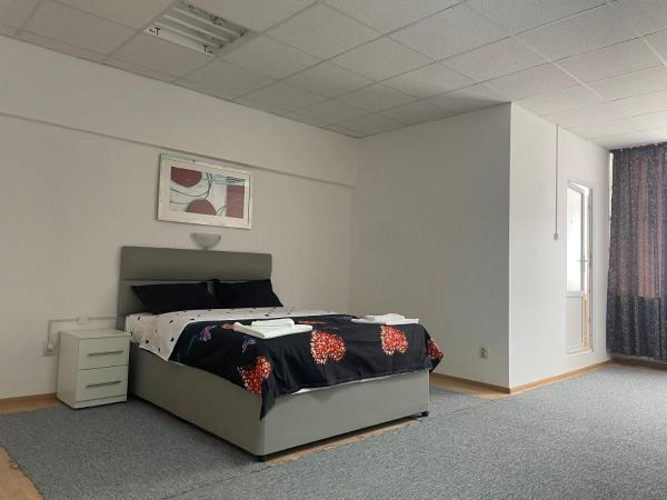 Studio Rentals - Județul Bacău
