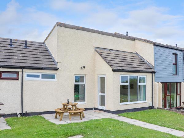 Skylarks! - St Agnes