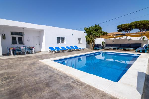 Parisito Sancti Petri - Chiclana de la Frontera