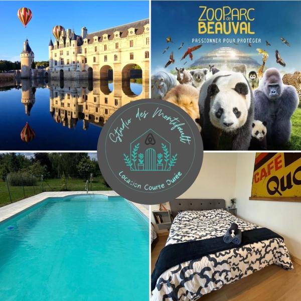 Studio Proche Beauval Et Châteaux De La Loire - Chenonceaux