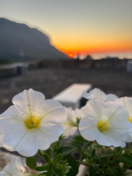 Bed And Breakfast Turi - Custonaci