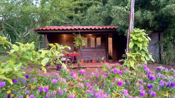 O Cantinho De Coura - A Cabana - Portugal