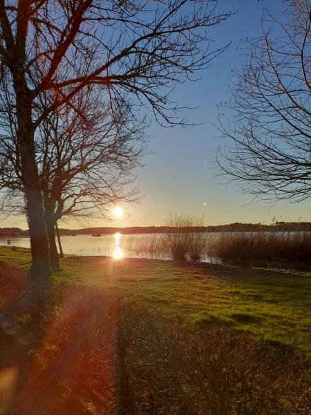 Appartement Les Terrasses Du Lac - Étang d'Aureilhan