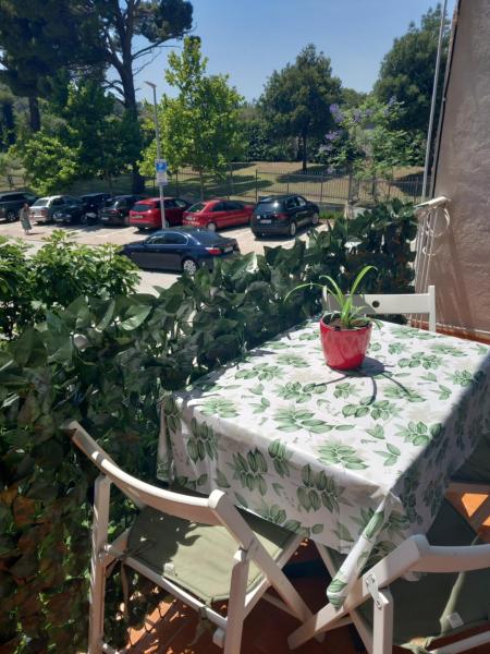 Apartment Matea - Makarska