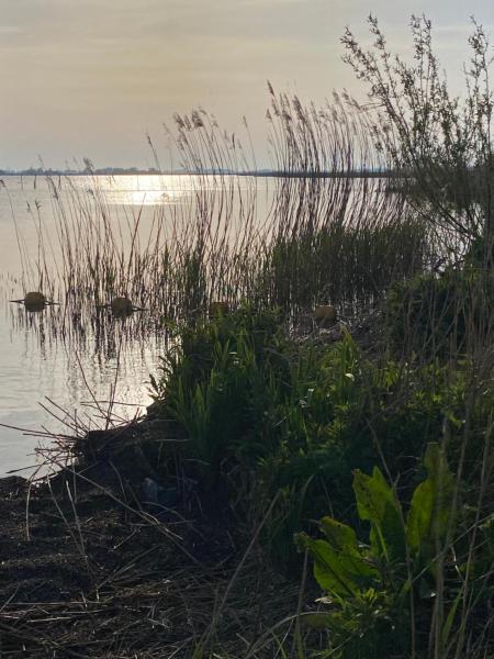 Tussen De Meren - Friesland