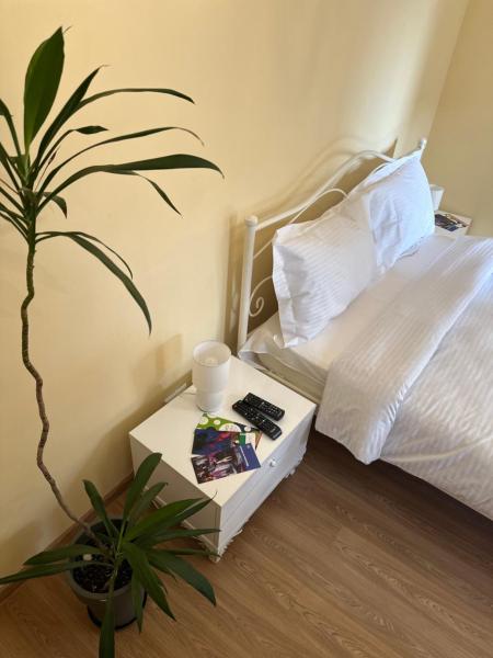 Green Tonic Hostel - Kutaisi