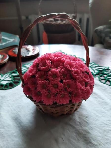 Przy Parku Klimatyzacja Parking Wifi - Wrocław