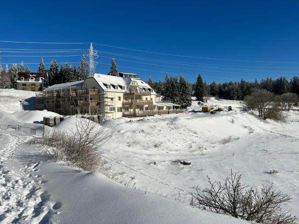 Appartement Au Pied Des Pistes Avec Grande Terrasse - Orbey