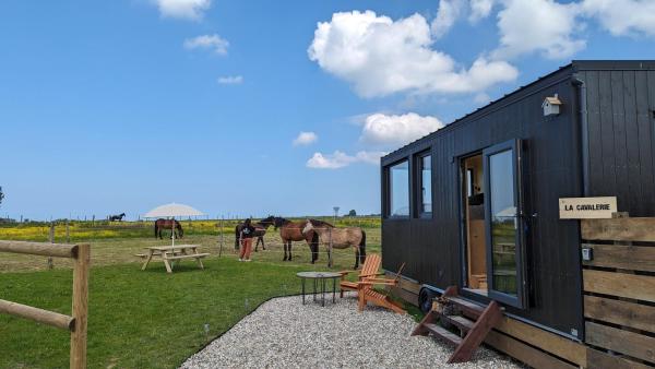 Tiny House La Cavalerie, Au Milieu Des Chevaux ! - Normandie