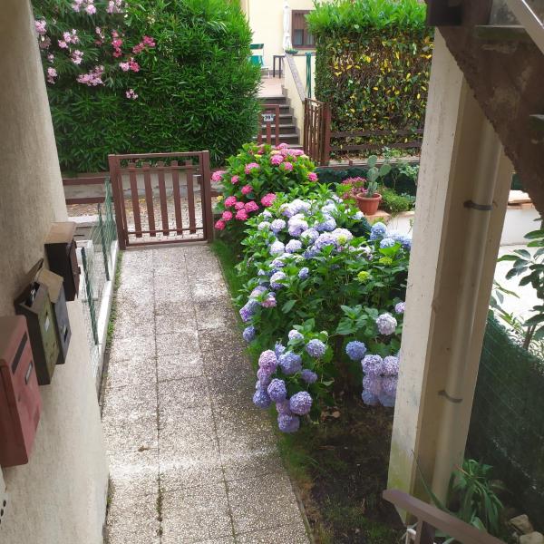 Apartment Santa Maria - Bolsena