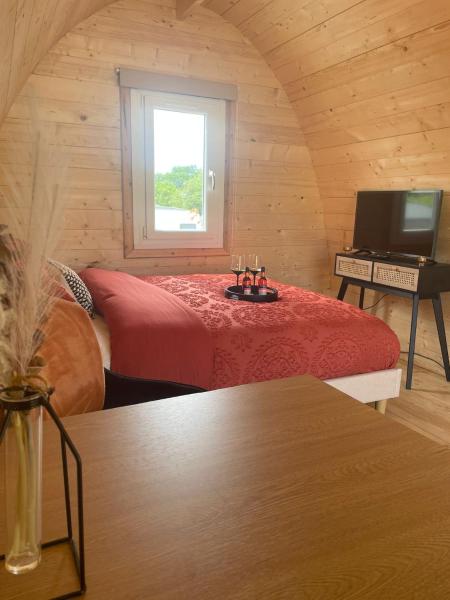 Coedydd - Woods - Bridgend