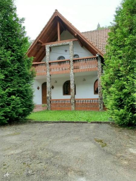 Vila Luca's - Cârțișoara