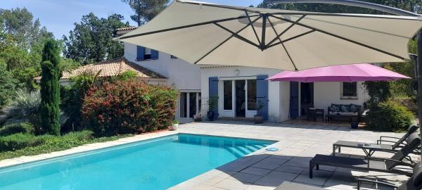 Frederique Lavande Bleue - Var