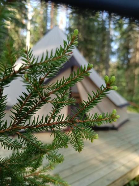 Kallion Kamujen Glamping Teltta-alue - Finlande
