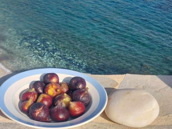 Balcony To Aegeon 4 - Naxos