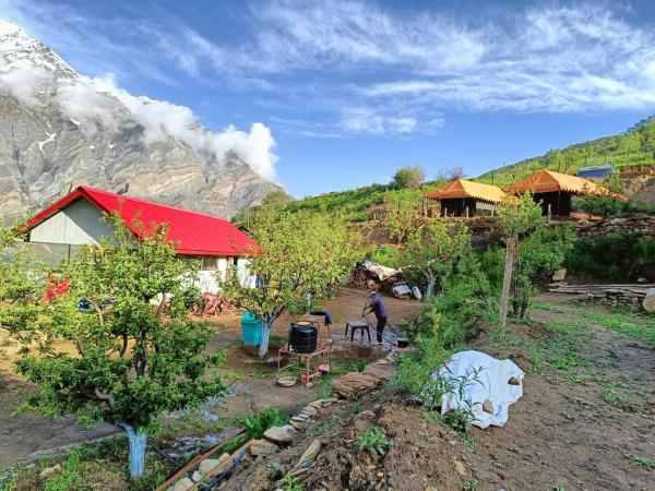 Apple Lodge Sumnam - Lahaul And Spiti