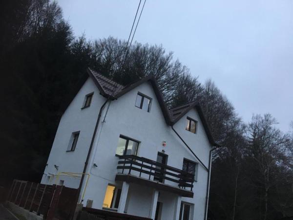 Caraiman Hive - Predeal