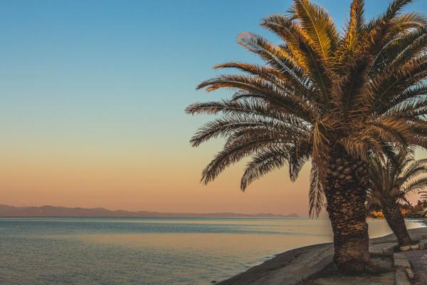 Mainavenue Palm Seaside - Grecia