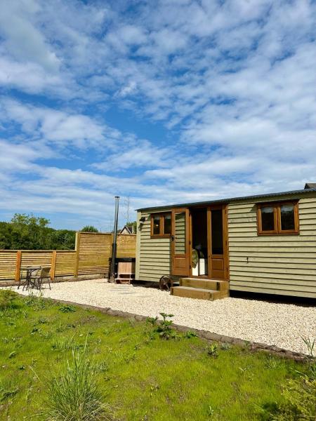 Lintmill Lodges - Thistle Shepherds Hut - Dumfries and Galloway
